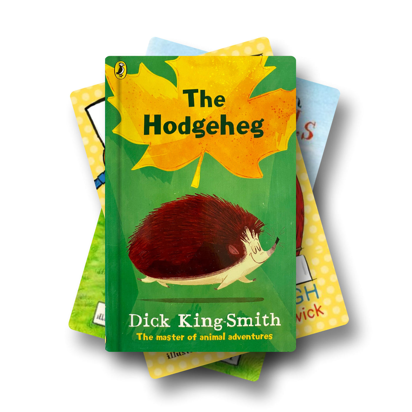 Brown Book Bands | BookLife